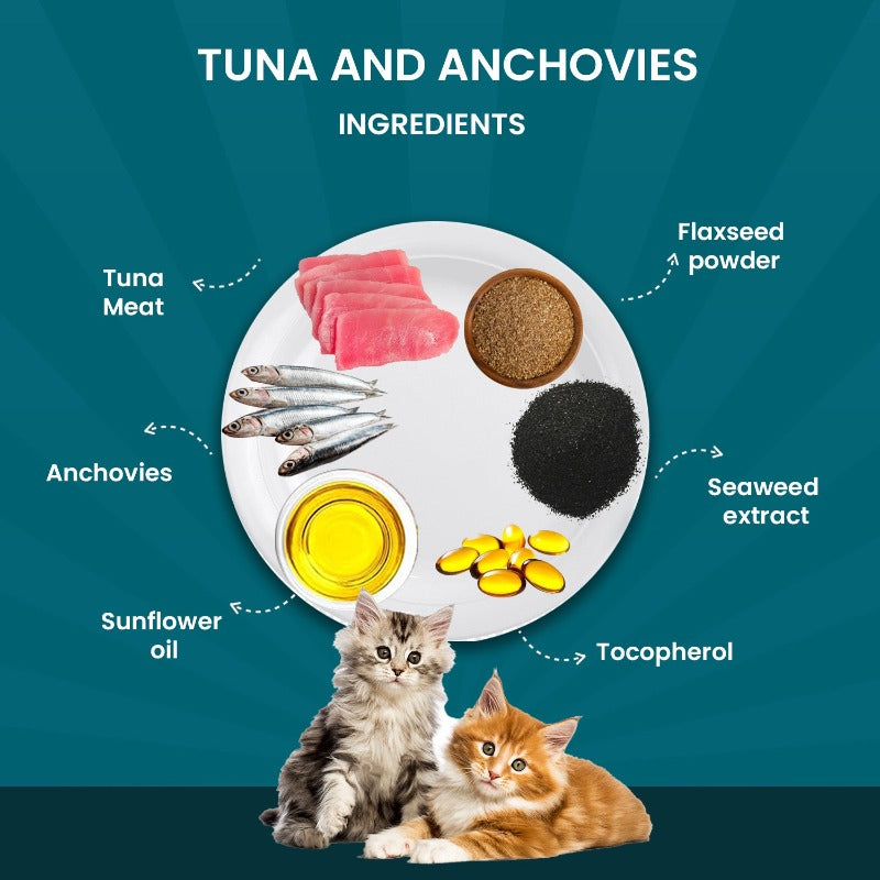 Buy Online Best Wet Cat Food Variety Pack 3 In 1 199 Goofytails