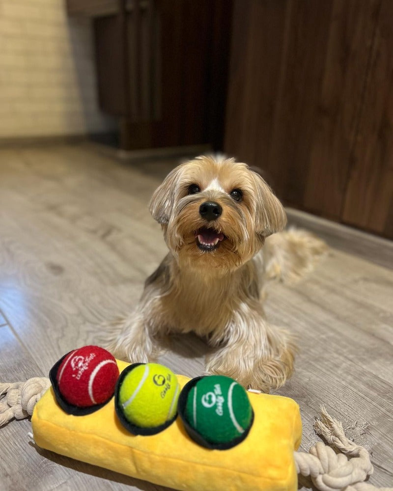 Buy Online Traffic Light Dog Toys At Best Prices In India – GoofyTails