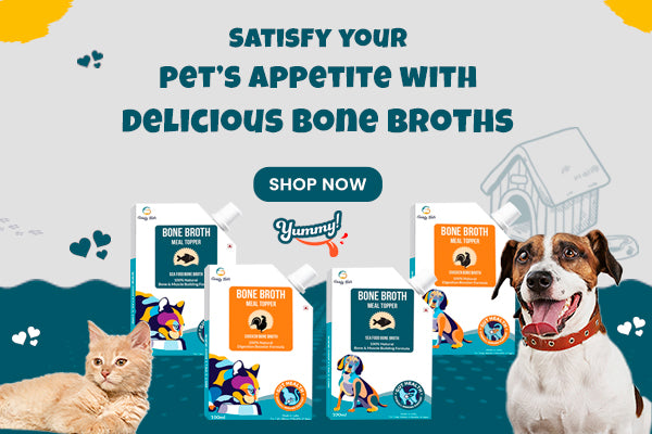 Online Pet Supplies Store | Dog and Cat Products | Goofy Tails – GoofyTails