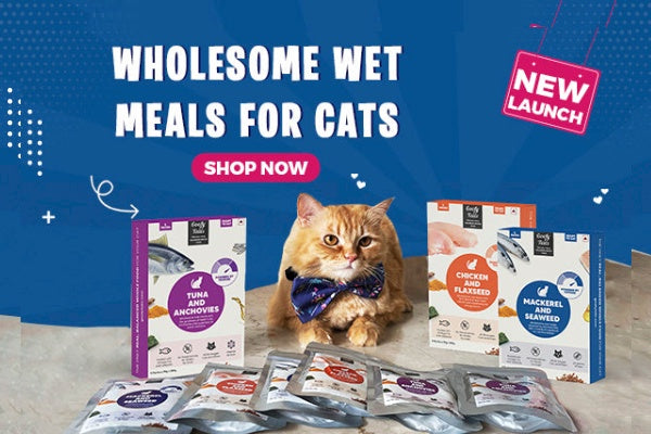 Online Pet Supplies Store | Dog and Cat Products | Goofy Tails – GoofyTails