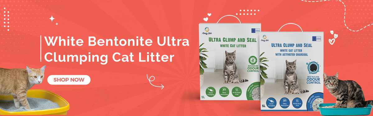 Online Pet Supplies Store | Dog and Cat Products | Goofy Tails – GoofyTails