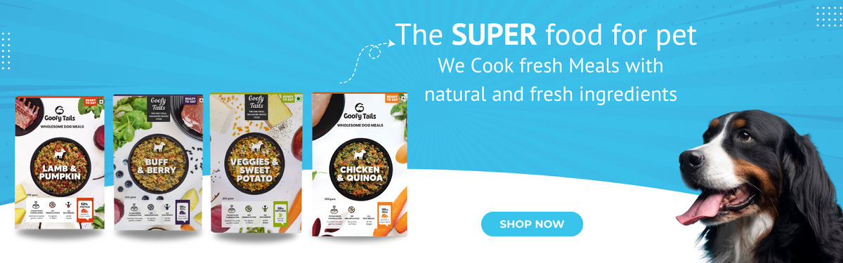 Honest and Holistic Pet Nutrition| Dog and Cat Products | Goofy Tails ...