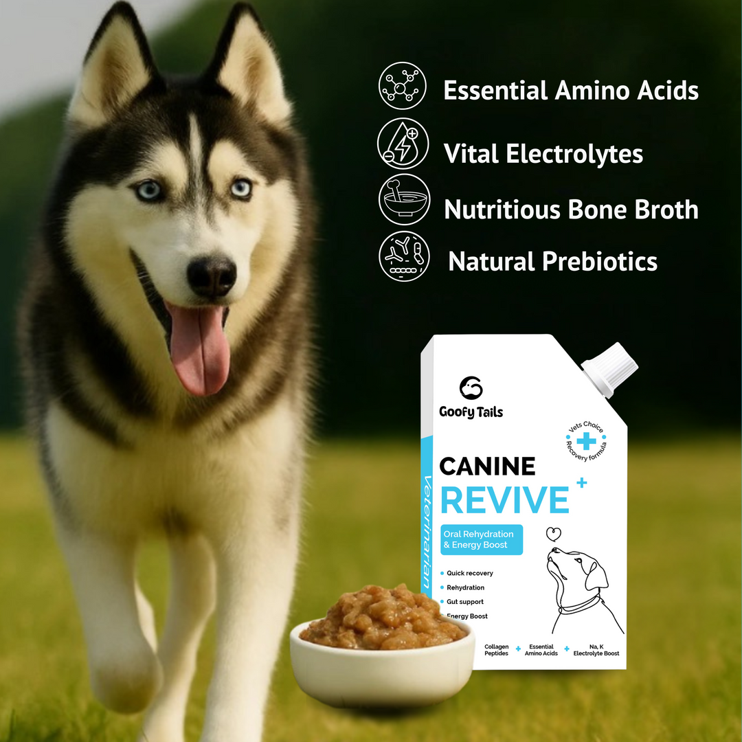 Goofy Tails Canine Revive + Hydration, Nutrition booster, ORS for Dogs – GoofyTails