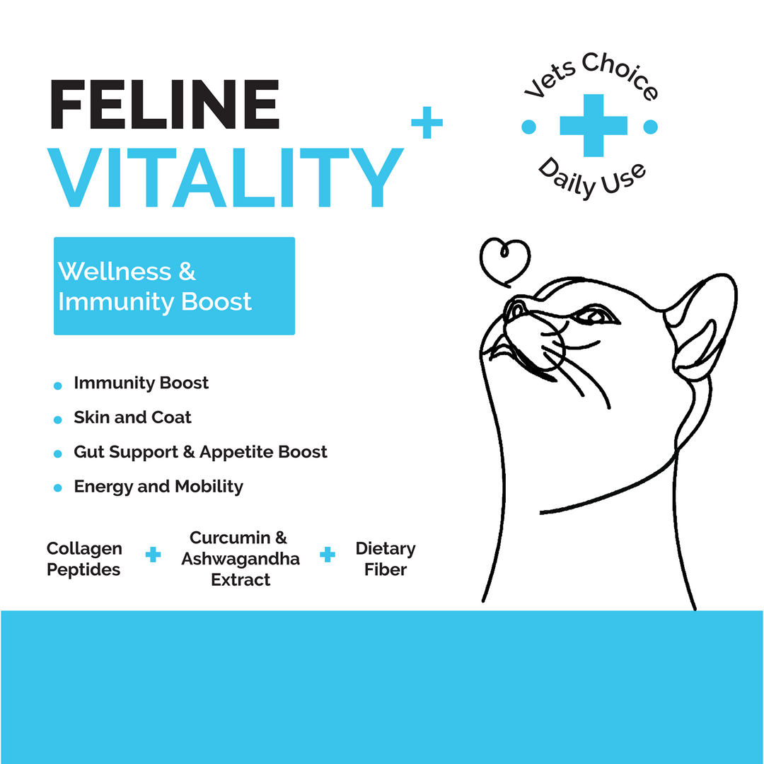 Goofy Tails Feline Vitality + Wellness & Immunity Booster Supplement ...