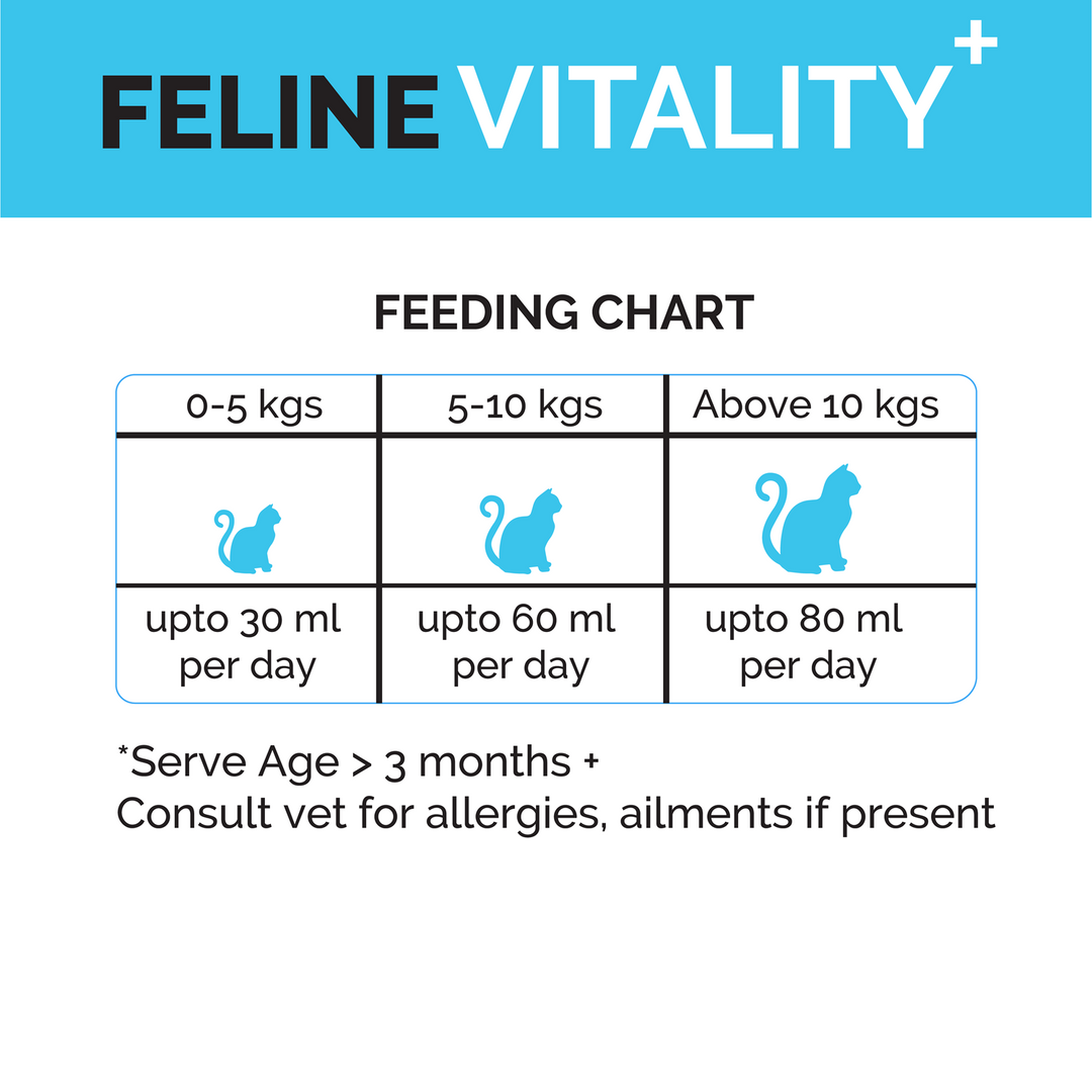 Goofy Tails Feline Vitality + Wellness & Immunity Booster Supplement ...