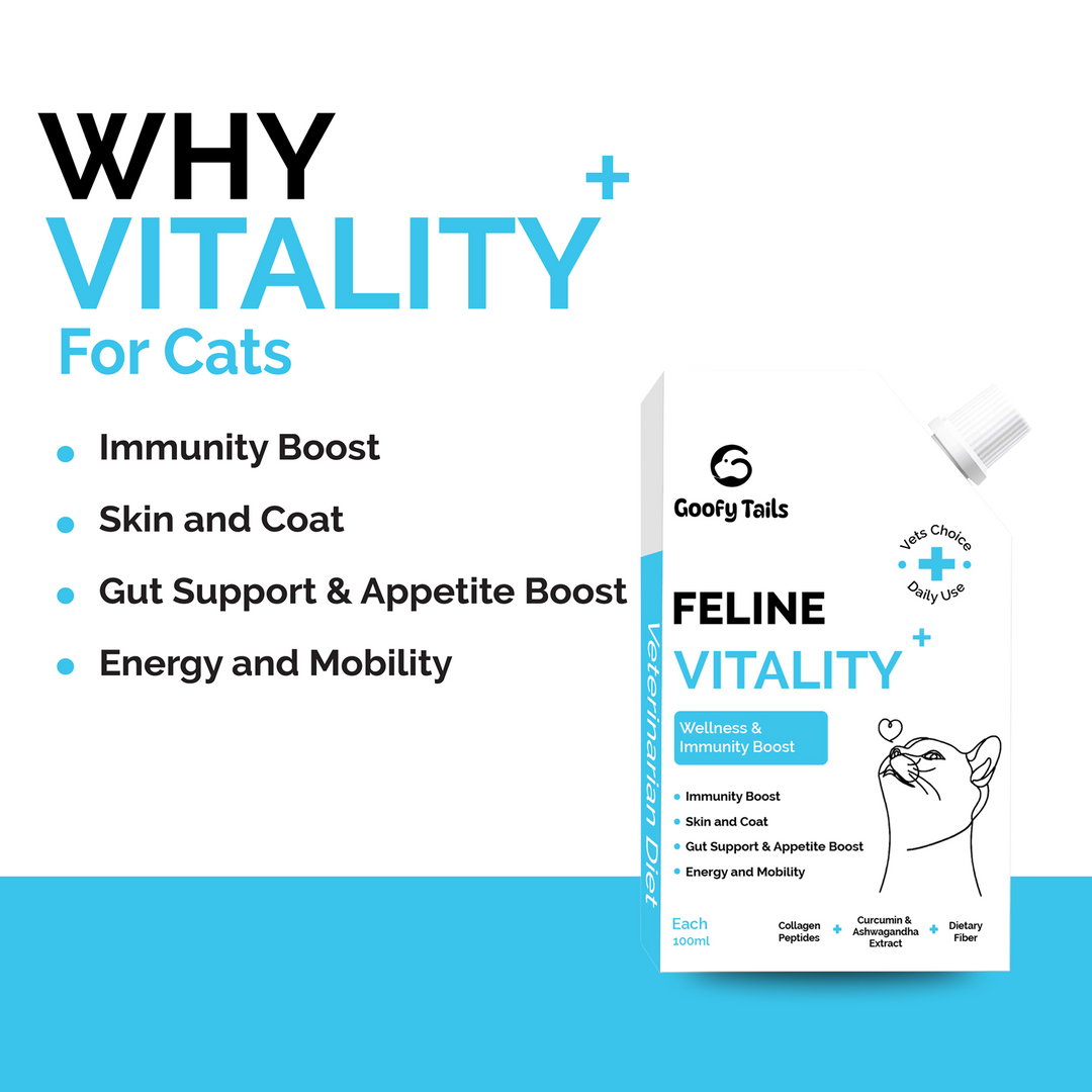 Goofy Tails Feline Vitality + Wellness & Immunity Booster Supplement ...