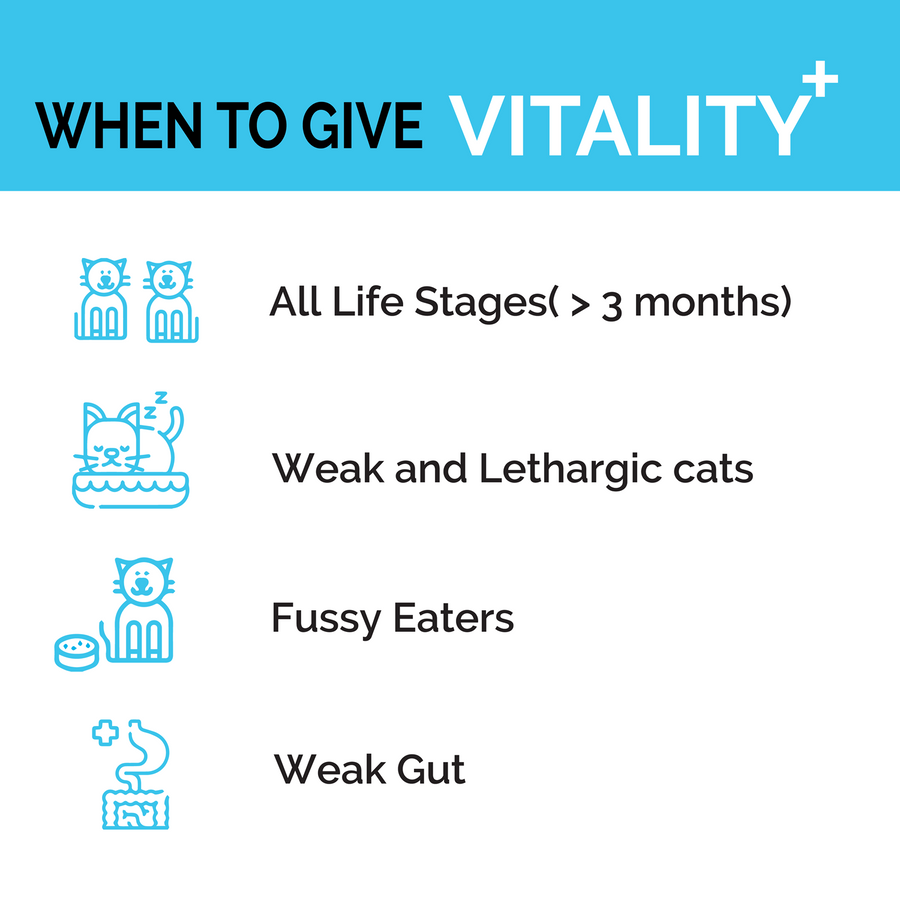 Goofy Tails Feline Vitality + Wellness & Immunity Booster Supplement ...