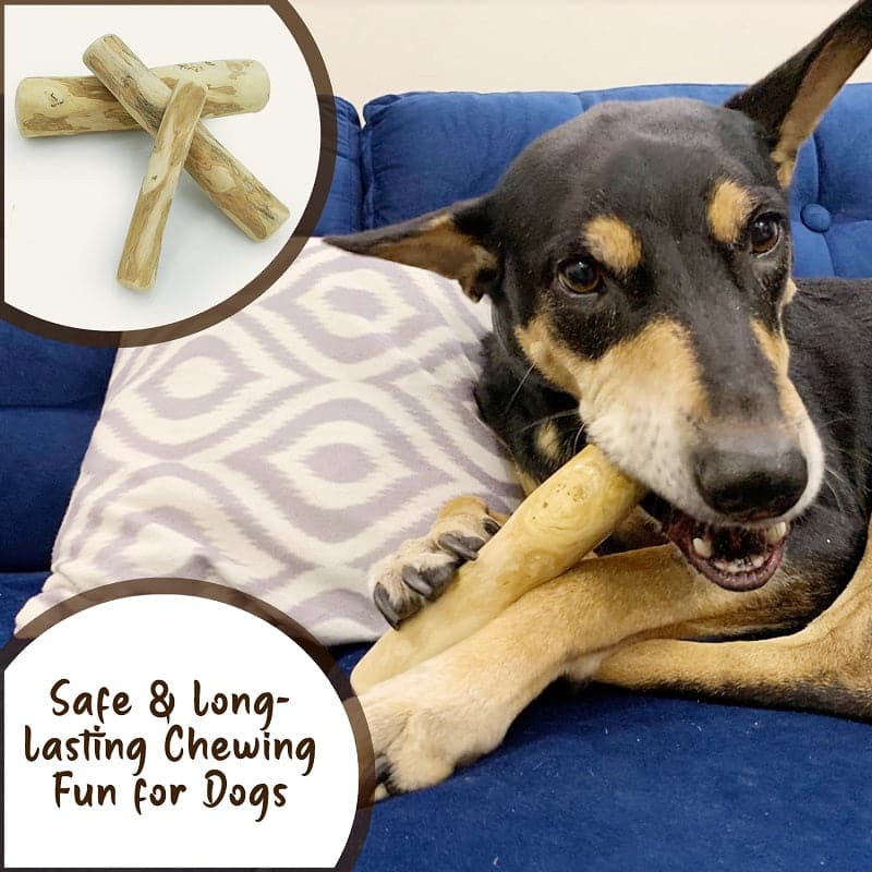 Goofy Tails Coffee Wood Chew Stick for Dogs | Training Chewing Stick ...