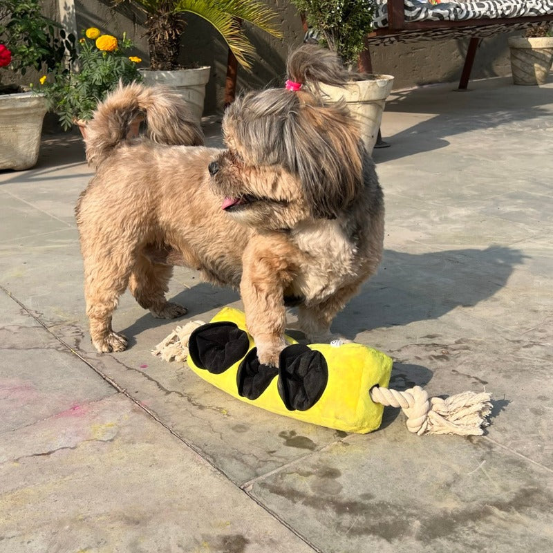 Buy Online Traffic Light Dog Toys At Best Prices In India – GoofyTails