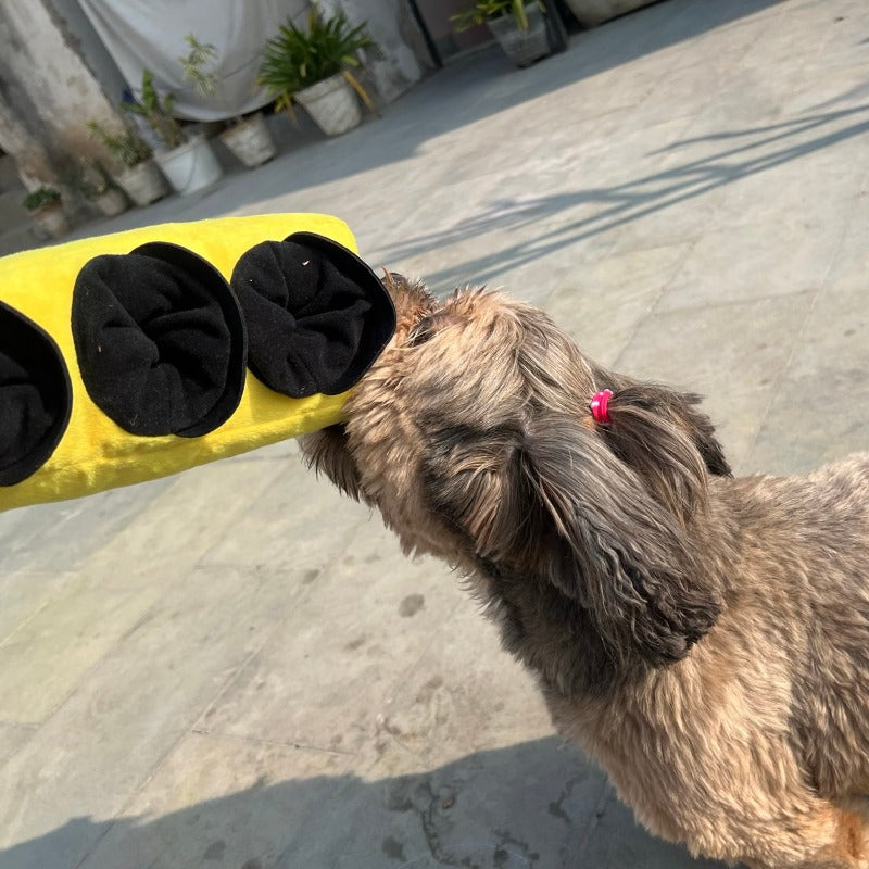 Buy Online Traffic Light Dog Toys At Best Prices In India – GoofyTails