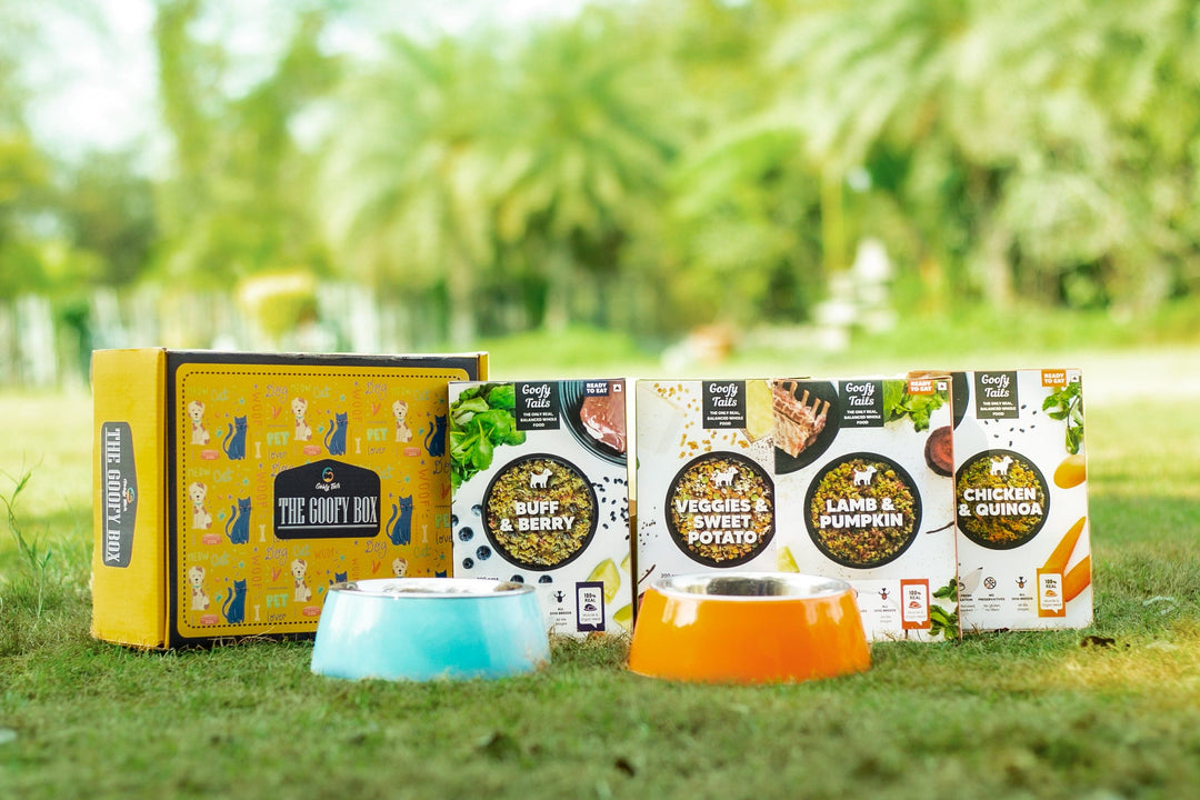 Goofy Tails Buff & Berry Fresh Food for Dogs and Puppies-200g – GoofyTails