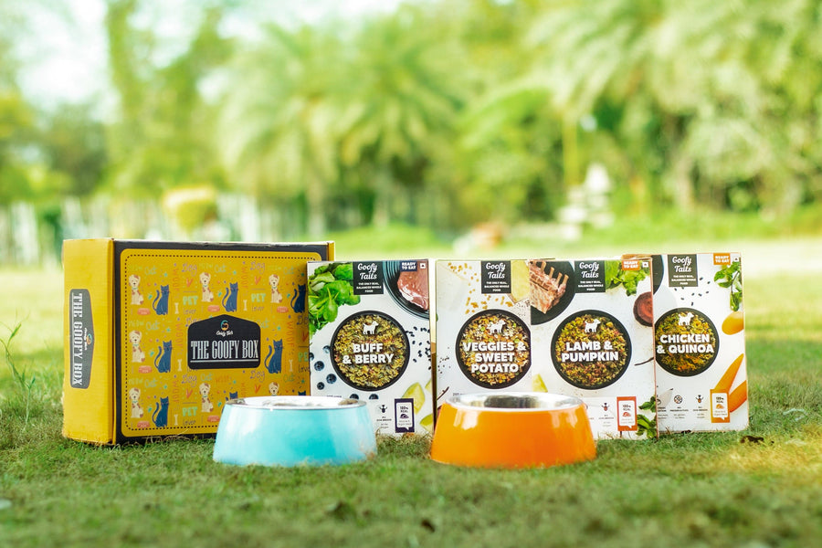 Goofy Tails Buff & Berry Fresh Food for Dogs and Puppies-200g – GoofyTails