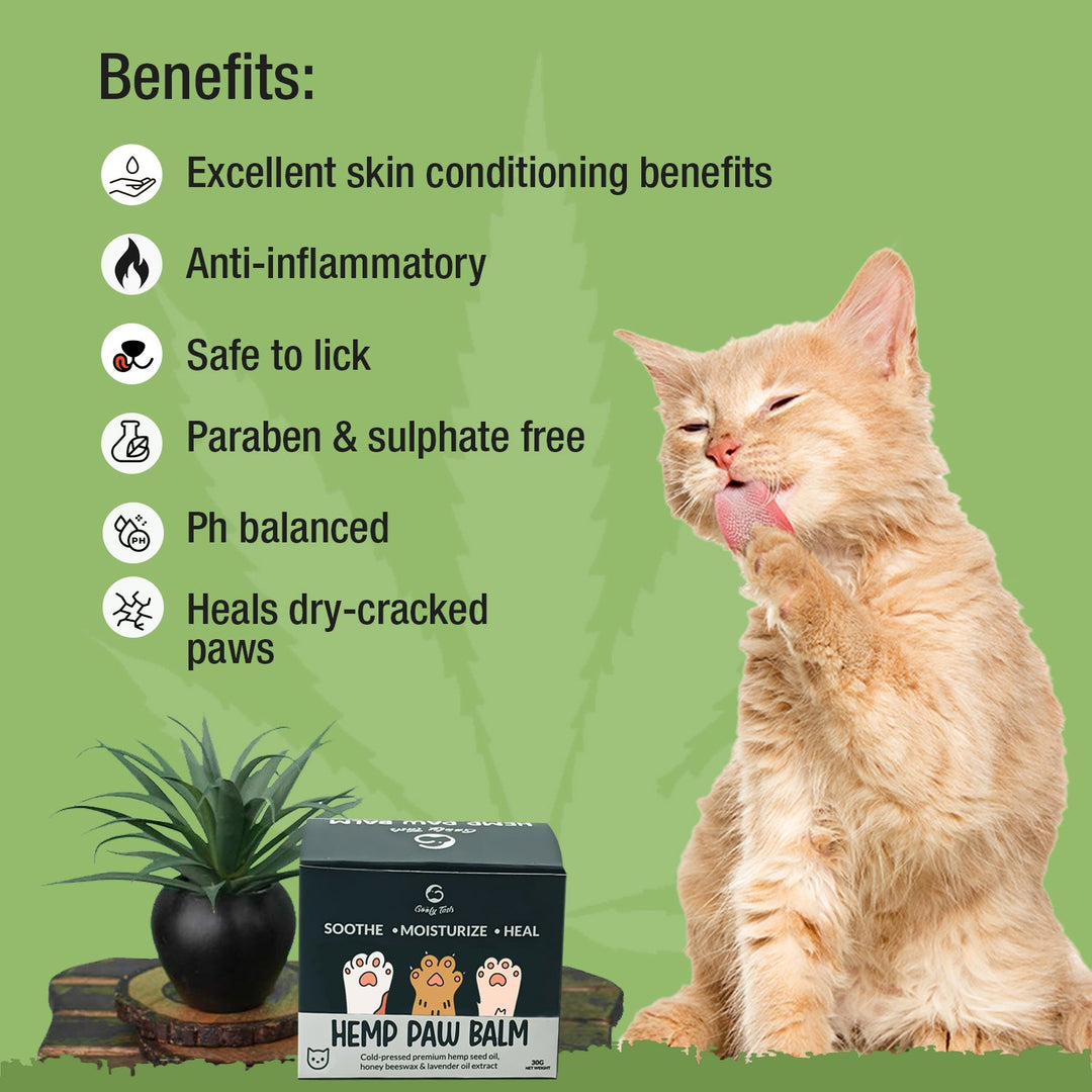 Buy Hemp Butter Paw Cream For Cats & Kittens - 30g Balm – GoofyTails